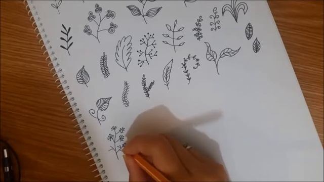 +50 leaves and branches doodle !