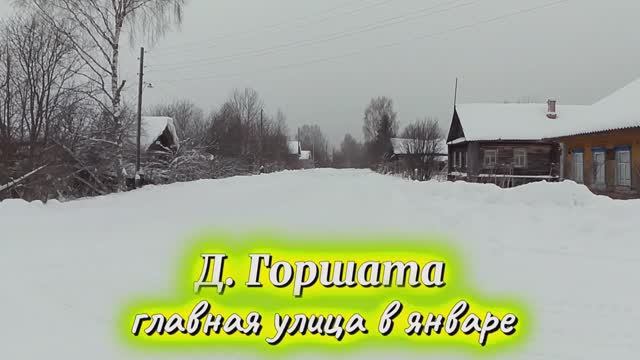 Деревня Горшата, главная улица в январе.mp4