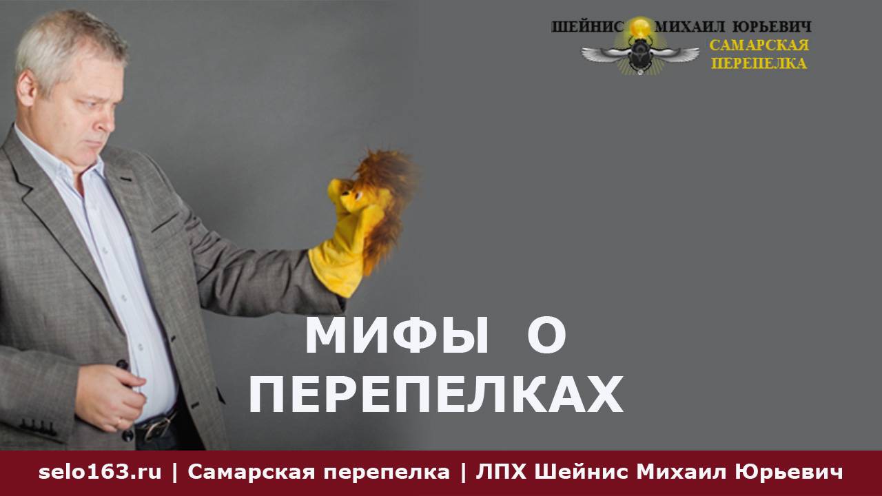 Мифы о перепелках