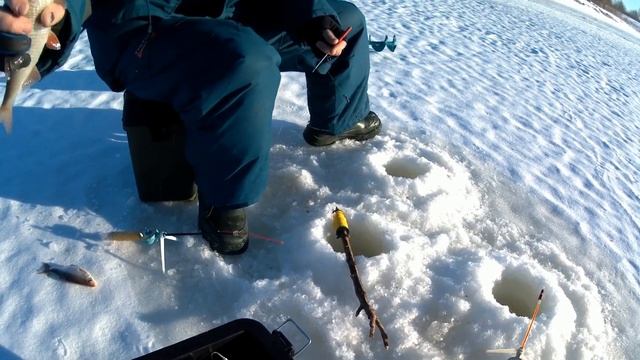 Рыбалка 19 марта. И снова тесто сработало!!!