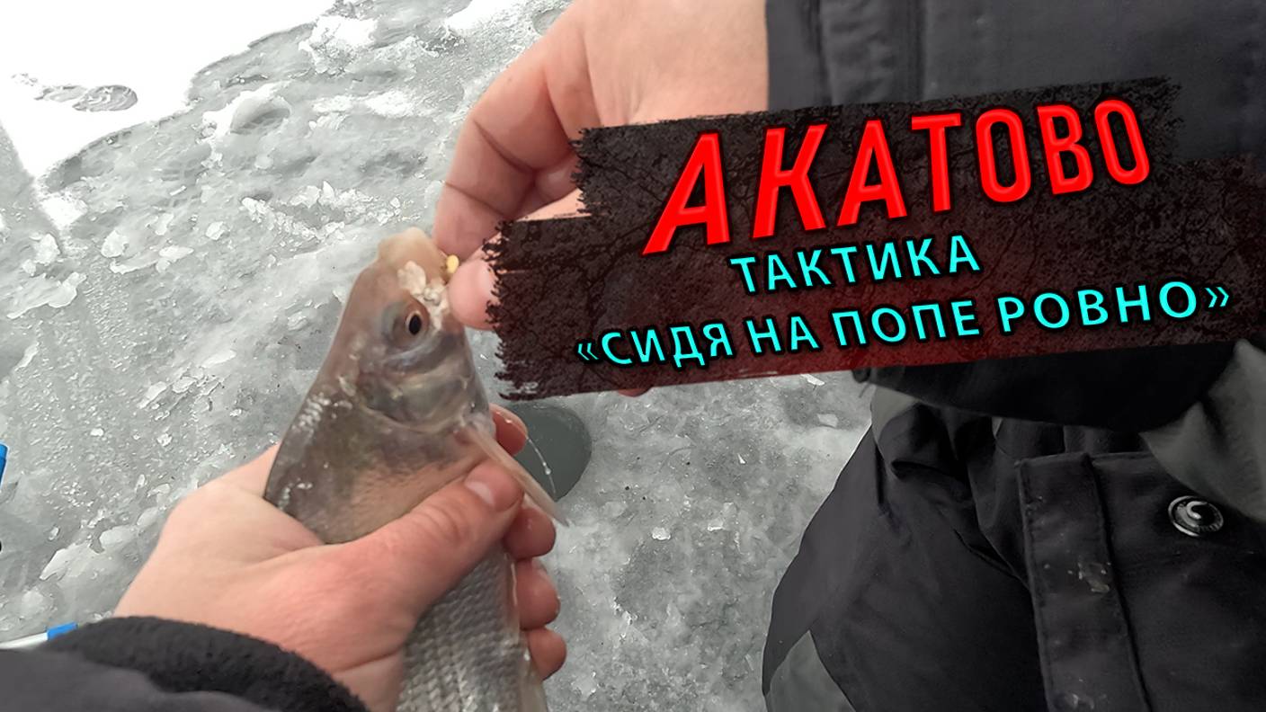 23 ЯНВАРЯ, АКАТОВО, тактика СИДЯ НА ПОПЕ РОВНО @fishfilos #философиярыболова