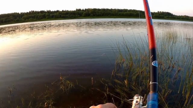 Рыбалка в Архангельской обл. Река Вага.Июль.