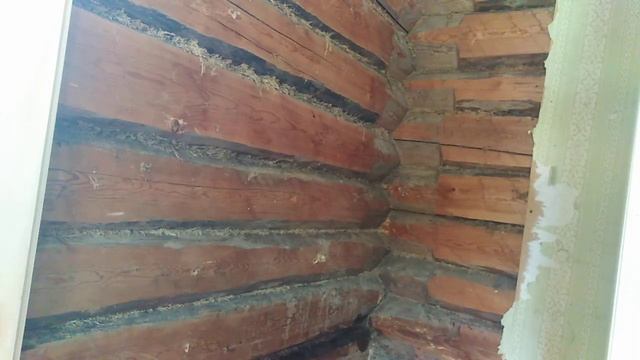 КАК ЗАЩИТИТЬ  СТЕНЫ ОТ МЫШЕЙ В  ДАЧНОМ ДОМЕ