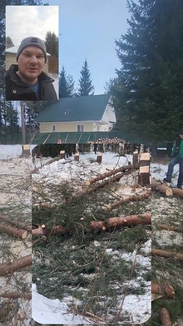 Начало сезона: спиливаем деревья и вывозим корни с участка #вск #благоустройство