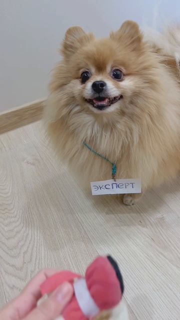 Эксперт знает, как лучше!