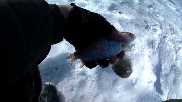 Рыбалка в середине марта Ждем активности рыбы