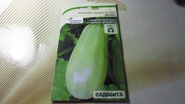 Выращивание кабачка Якорь — полный обзор сорта от компании «Садовит»
