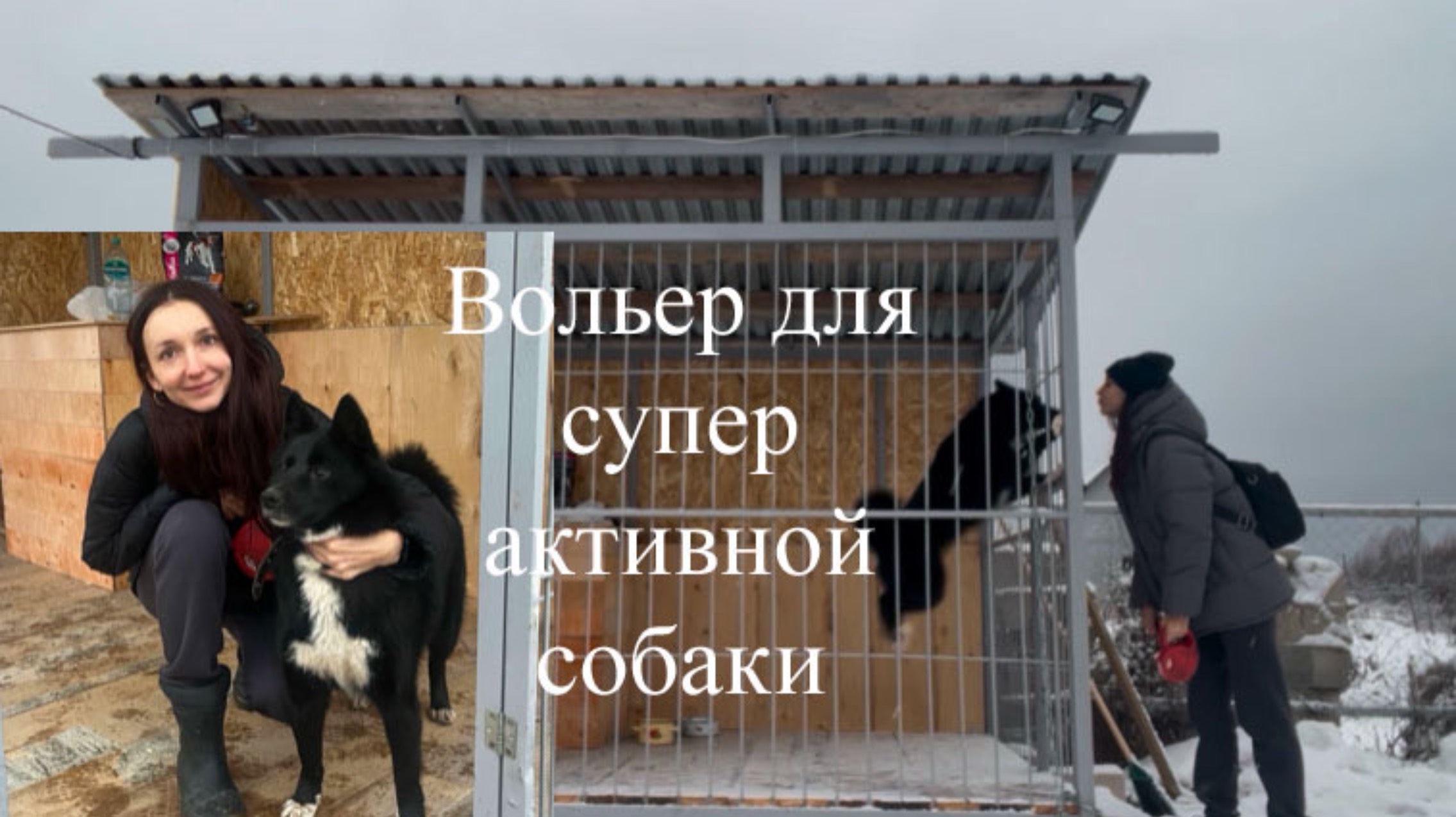 Вольер для супер активной собаки