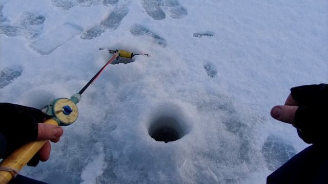 Рыбалка 2 января!!!Погода подвела.