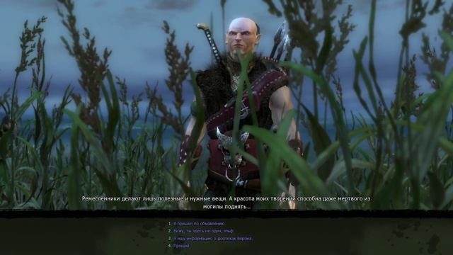 The Witcher- Enhanced Edition. Часть 43. Тобиас и Юлиан узнают про Алину и Селину