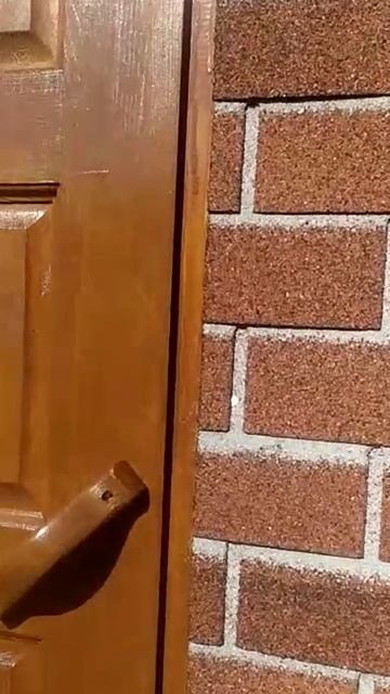 Отзыв от Татьяны о её погребе Тингард #25