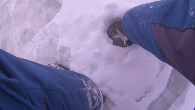 Рыбалка 31 января в снегопад на безмотылку!!!