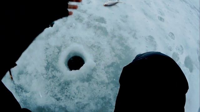 Крупняк на тесто.Конец декабря.