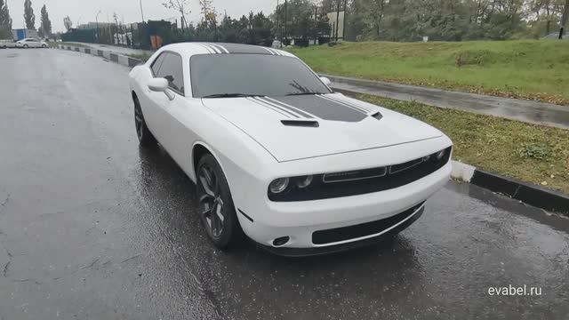 Dodge Challendger 3 поколение рестайлинг ворсовые коврики в салон evabel.ru 8800-222-48-45
