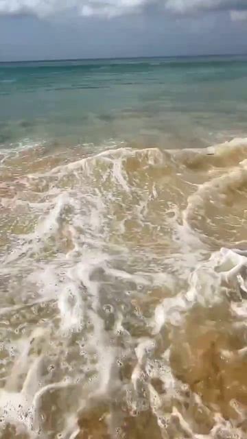 Медитация - в каждом моменте Жизни