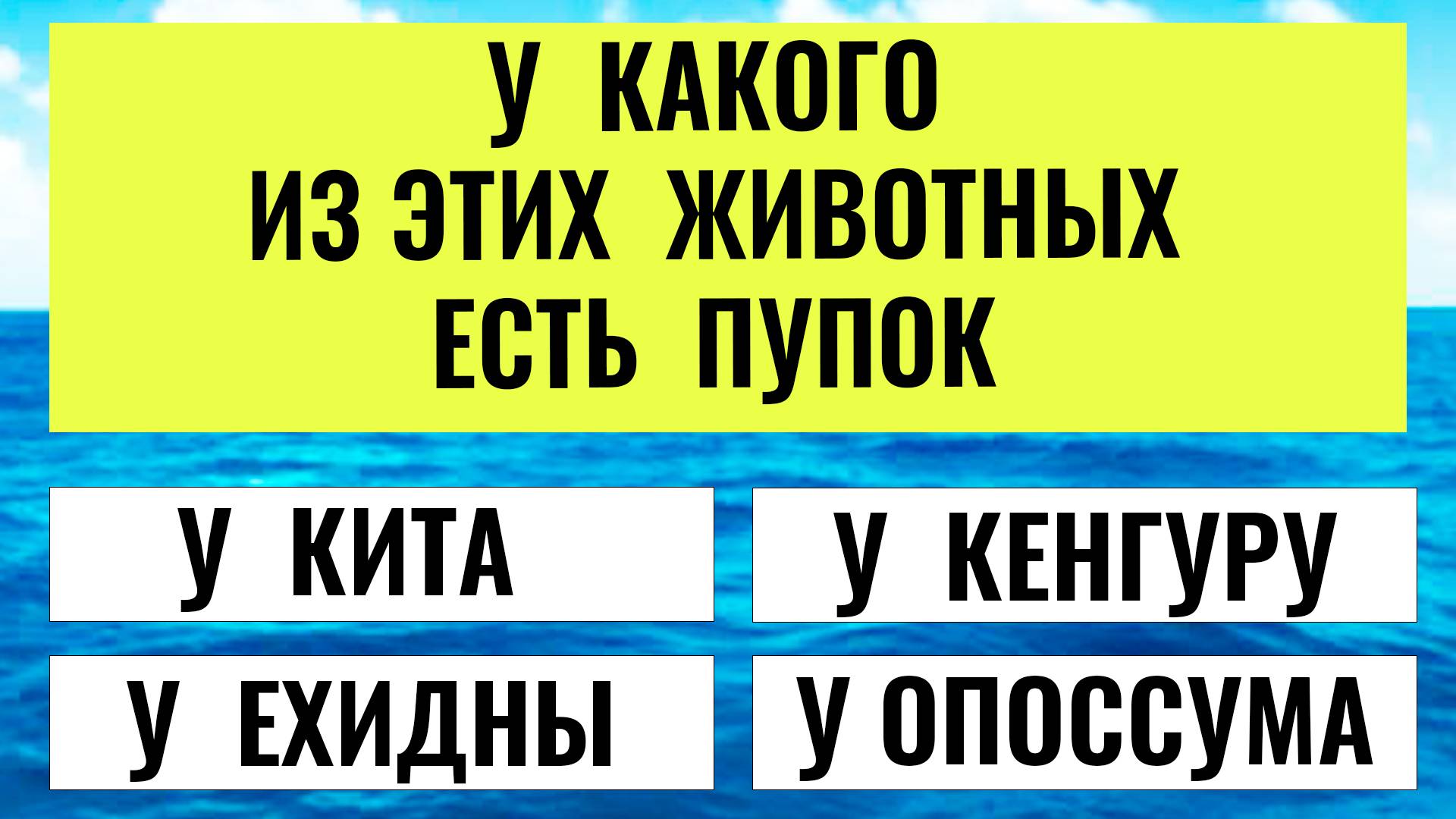Вы настоящий ГЕНИЙ, если наберете хотя бы 15 из 20. Тест на эрудицию