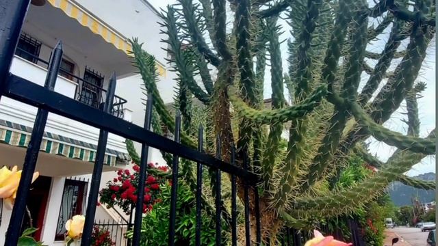 Разнообразие и красота природы Турции