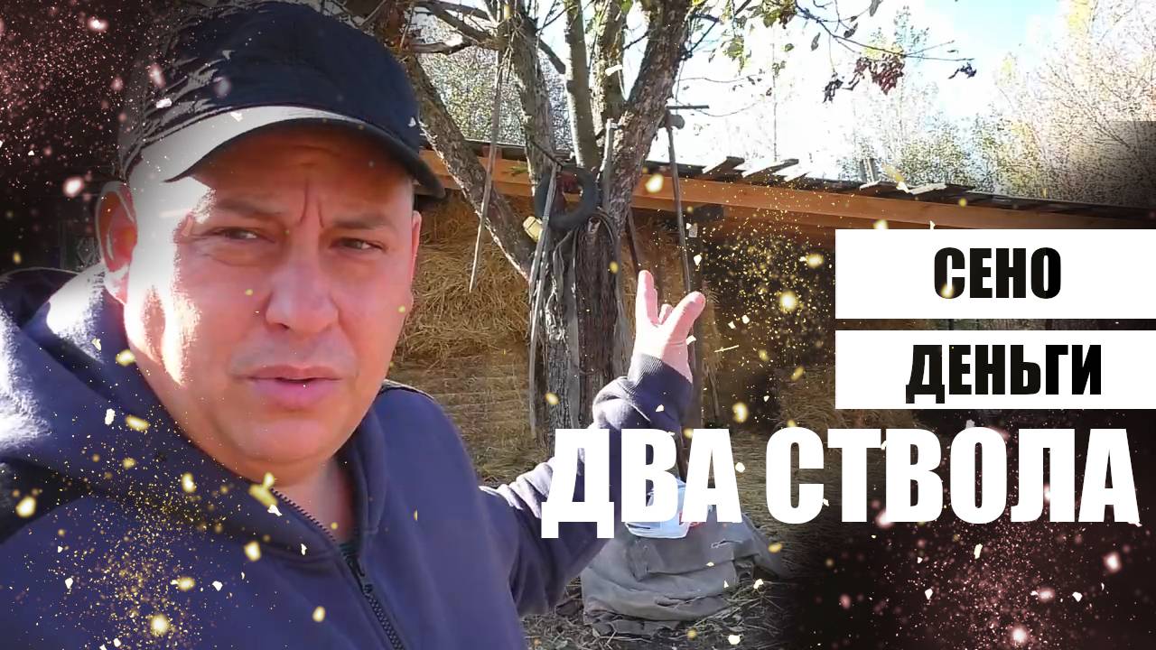 Как сделать навес для сена