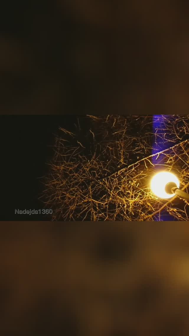 Свет зимних фонарей!