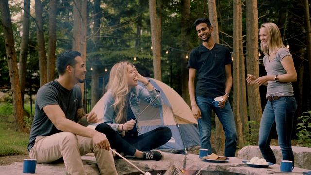 Портативные газовые грили Napoleon TravelQ™ 285