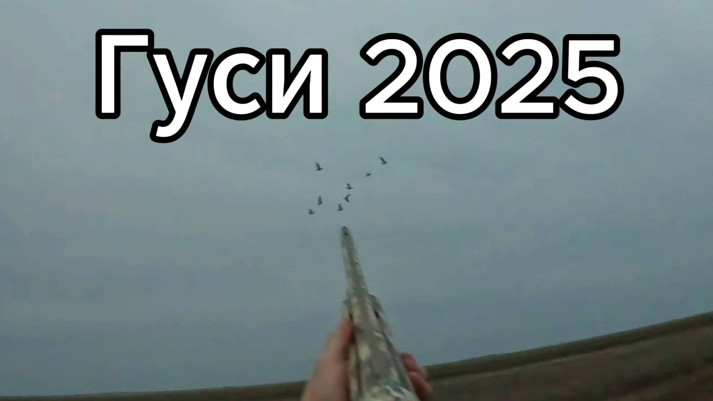 ТИЗЕР ГУСИНАЯ ОХОТА 2025 г.в.