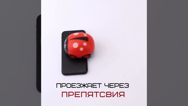 LP201853915 машинка Божья коровка