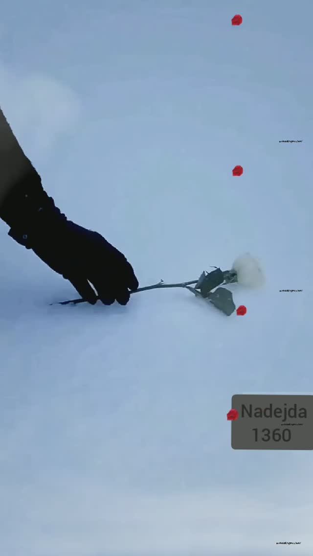 Миллион алых роз на японском языке!А я в образе девушки из Японии!