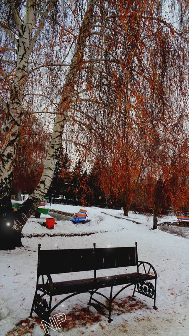 Скамеечки в моём городе!