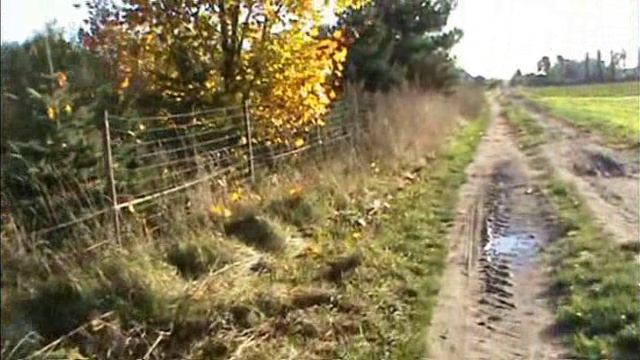 2023 Ноябрь Мама я