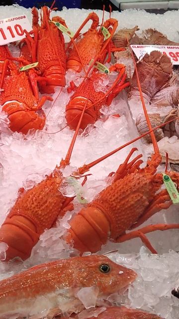 Fish market Австралия