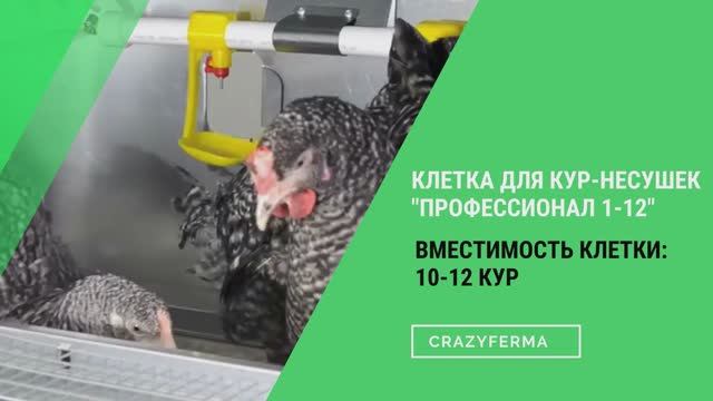 📽Видео-обзор клетки для кур-несушек серии «Профессионал» 1-12