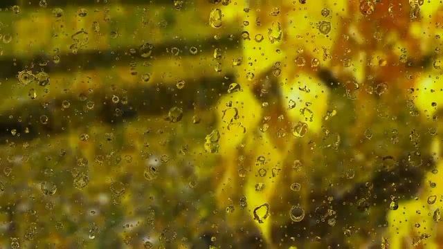 Нам звуки музыки 🎶осенней🍁 Стихи Надежда Лыкова.муз.И.Хоцевич..mp4