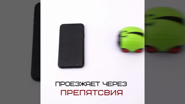 LP201853917 машинка Жук