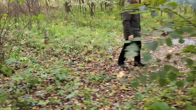 Осень 2024.12 10 2024 г