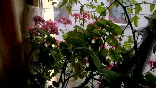 2023 Октябрь Мама я