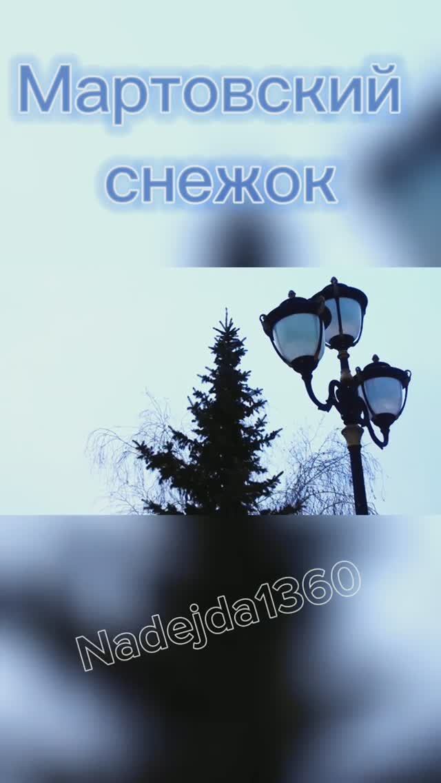 Мартовский снежок!