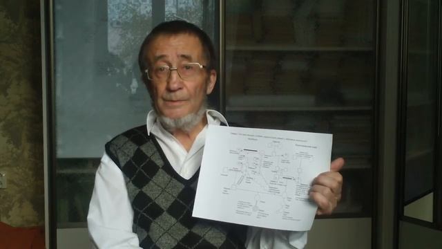 _Встречи с родологом_, 2 серия - _Венец безбрачия_ с точки зрения автора родологии, Докучаева В.В.