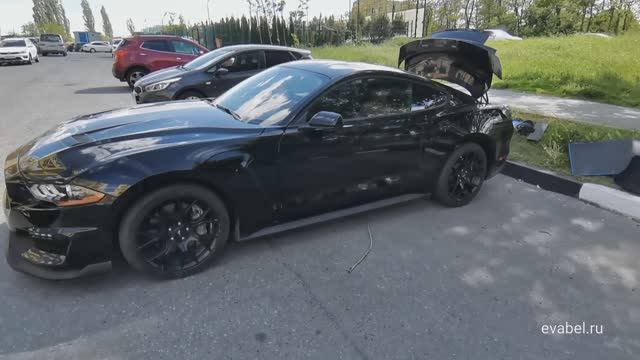 Ford Mustang 6 поколение рестайлинг eva коврики в салон и багажник evabel.ru 8800-222-48-45