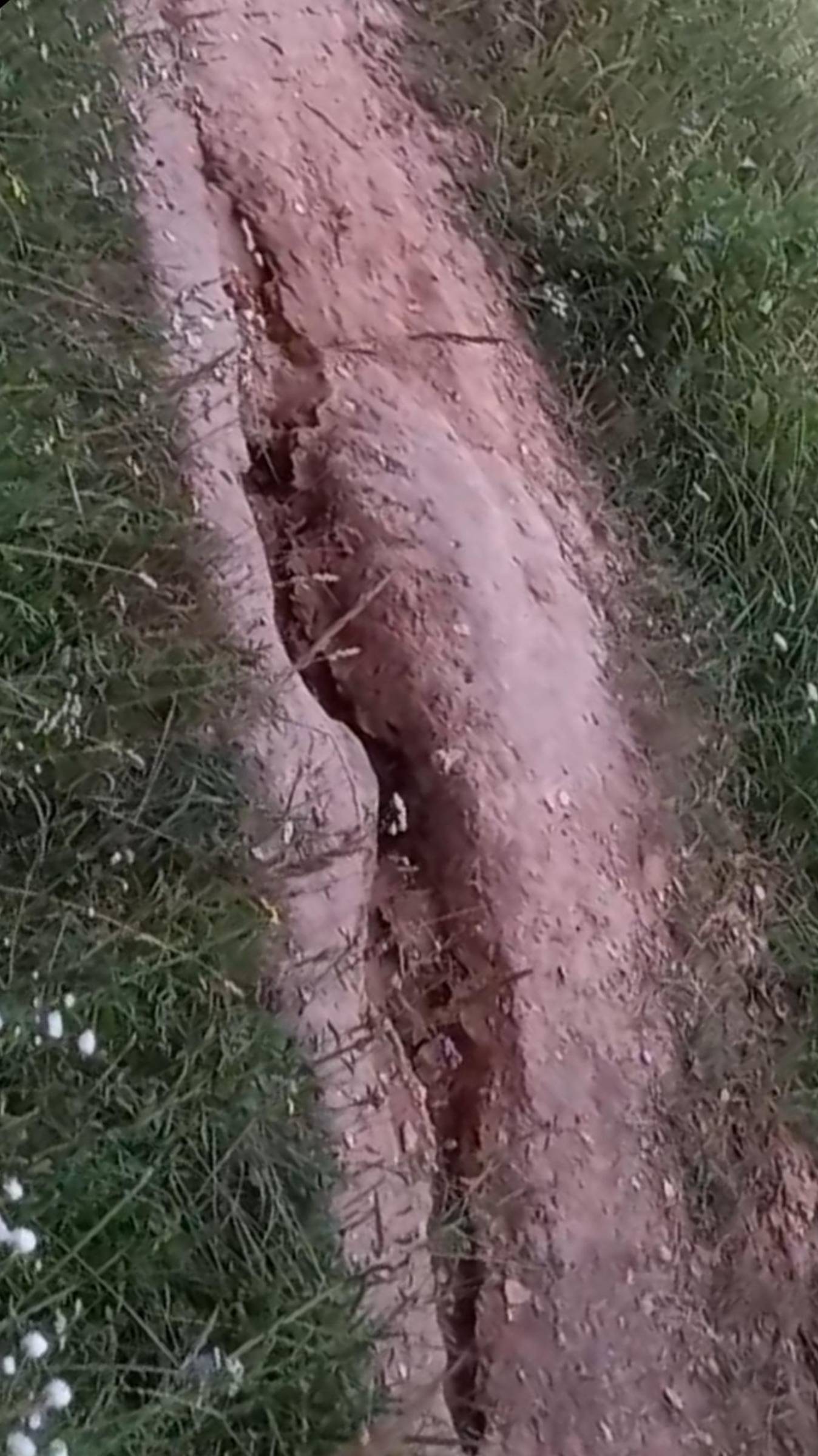 Уникальные чудеса природы в деревне Митинка Калужской области