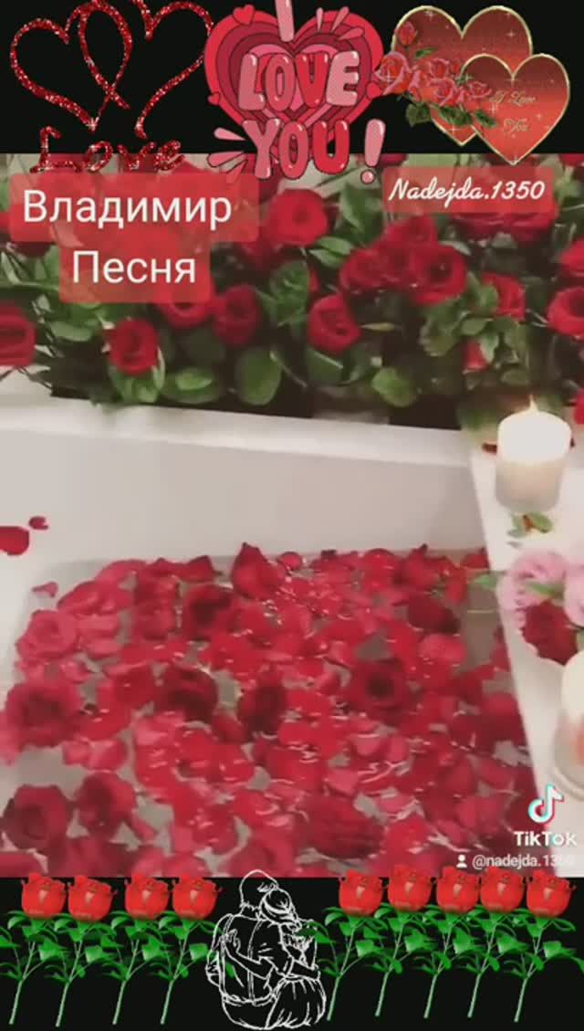 Владимир Песня!