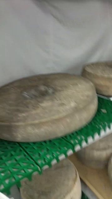 Каждый день в сыроварне
