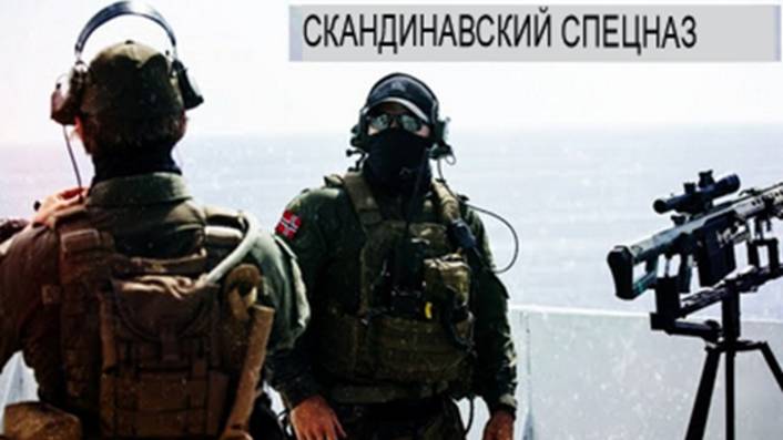 Скандинавский спецназ • Сильный, храбрый, готовый
