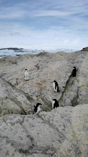 Поздравляем Арсения с Днём рождения.mp4