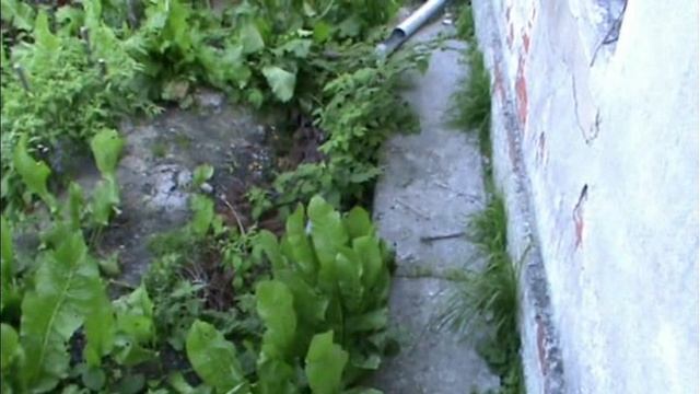 2023 Сентябрь я