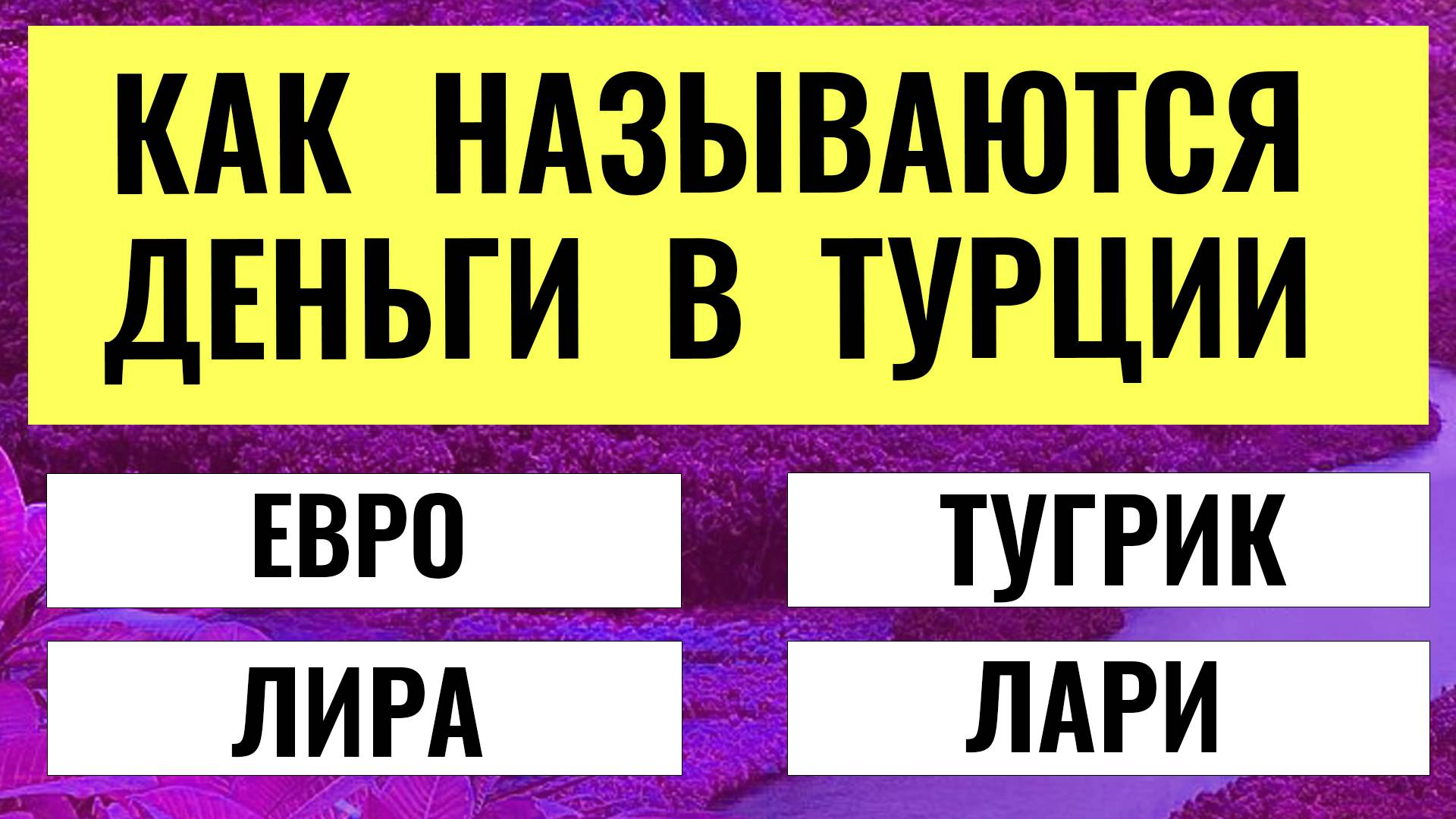 Вы Умнее 95% Людей? Проверьте Это в Тесте из 20 Вопросов!