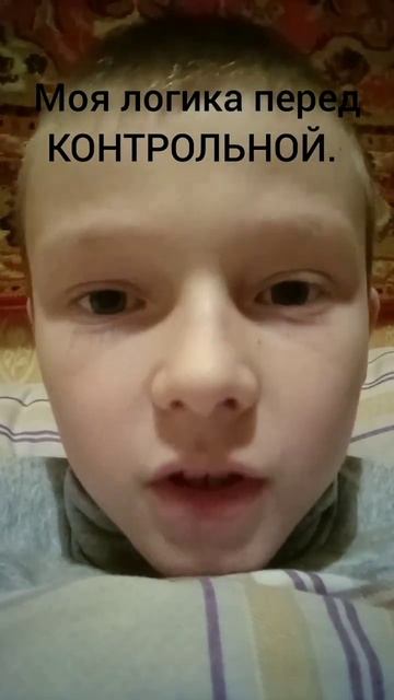 Моя логика перед КОНТРОЛЬНОЙ.