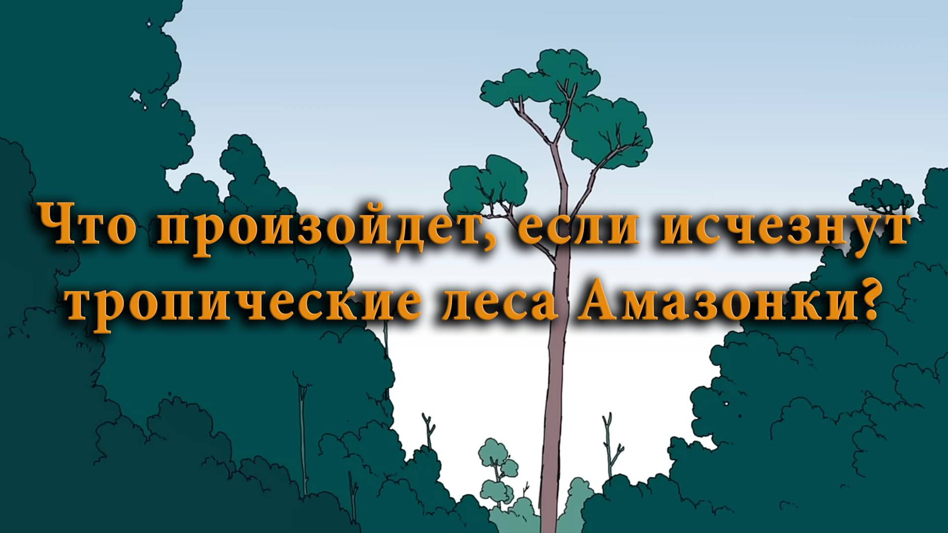 Что произойдет, если исчезнут тропические леса Амазонки?