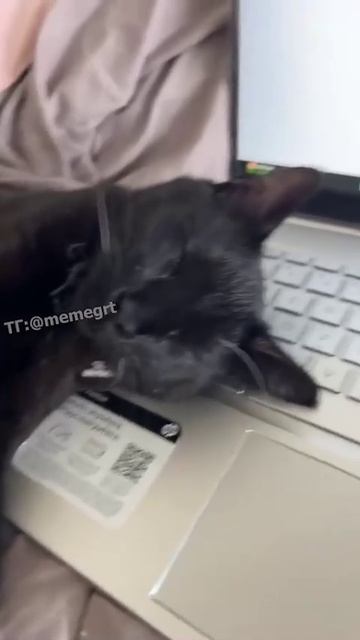 Идеальный кодер работает именно так