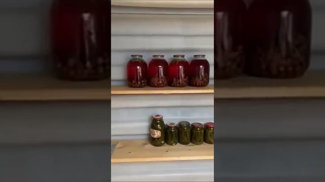 Отзыв клиента о погребе TINGARD #42 (г. Волгоград)