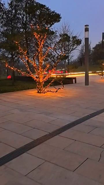 Лови каждый миг